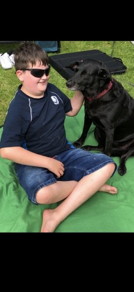 Tribute for Stella Morrison - PDSA